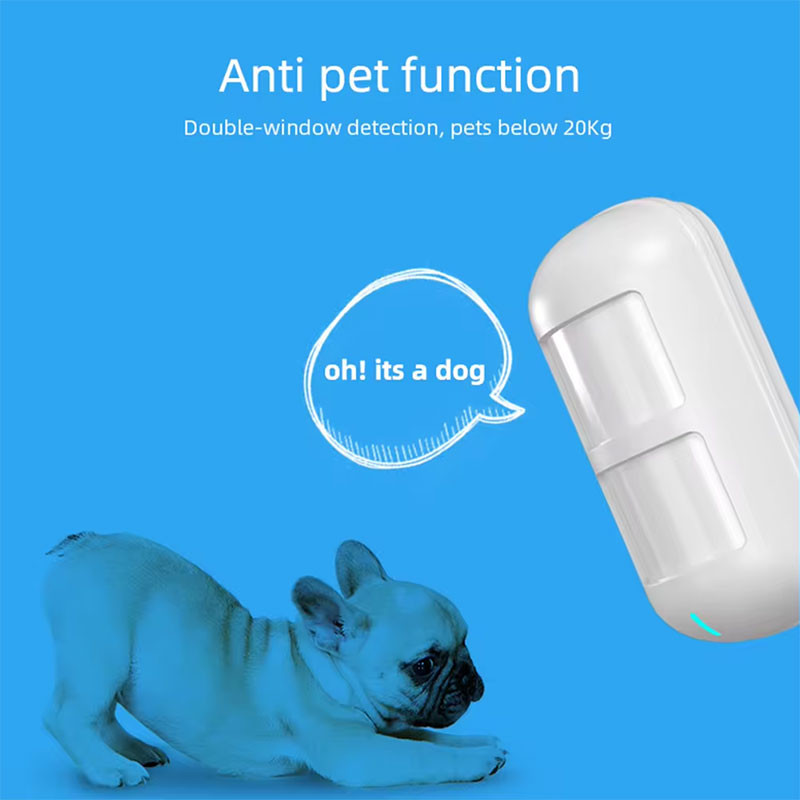 Dual infrared detector