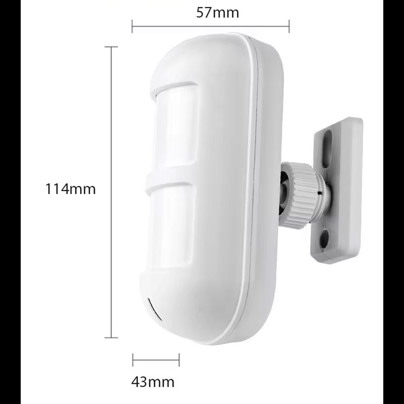 Dual infrared detector