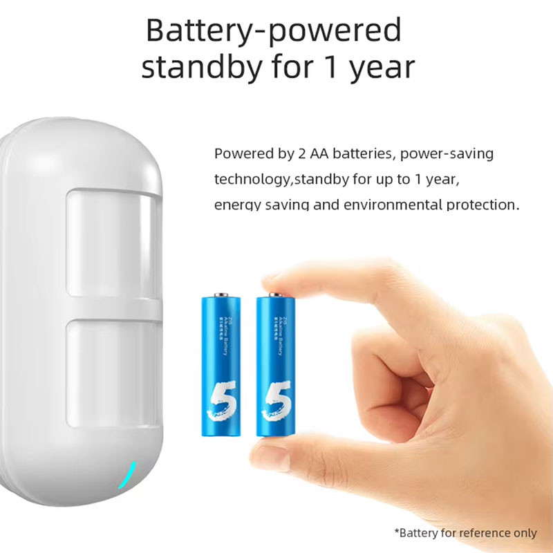 Dual infrared detector