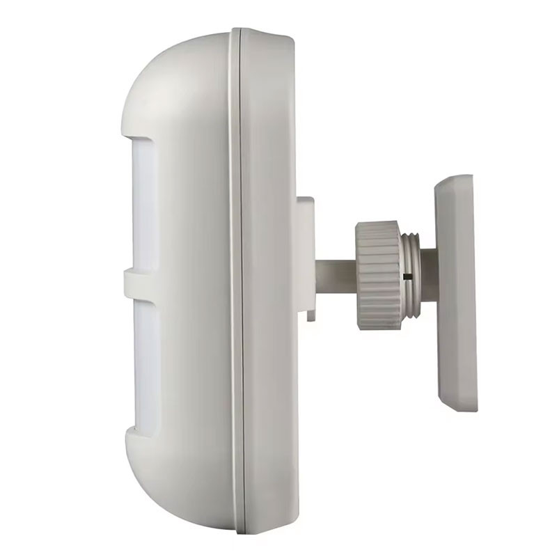 Dual infrared detector