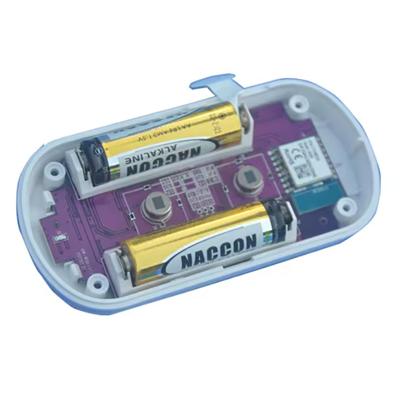 Dual infrared detector