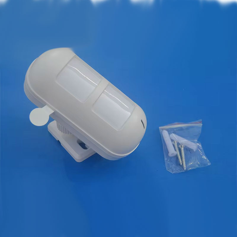 Dual infrared detector